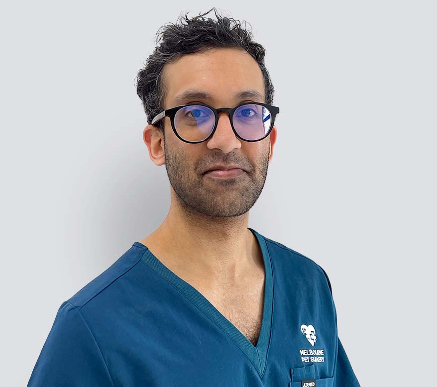 Meet the Team at Melbourne Pet Surgery